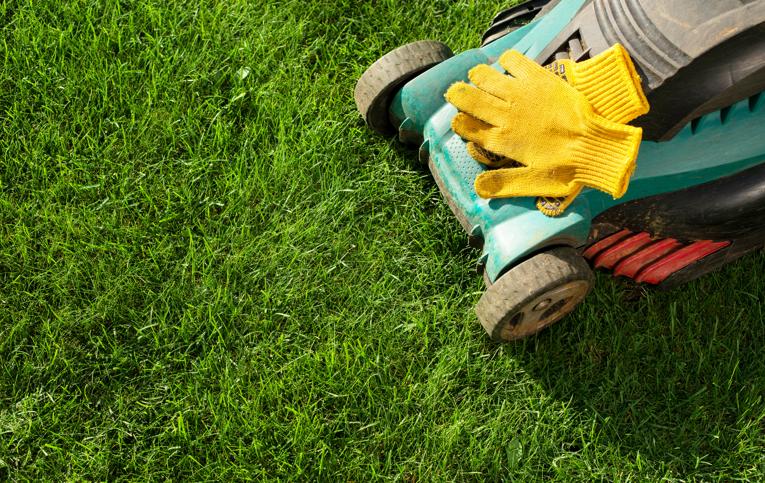 Veja como cortar grama da forma correta | Loja do Mecânico